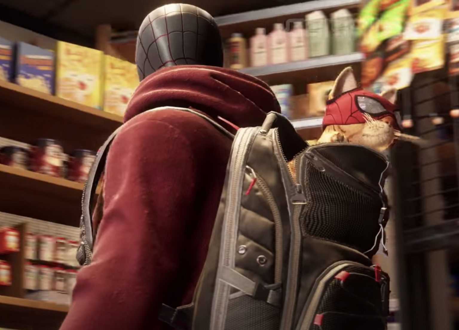 Spider-Cat! Spider-Cat! Your Friendly Neighborhood Spider-Cat ...