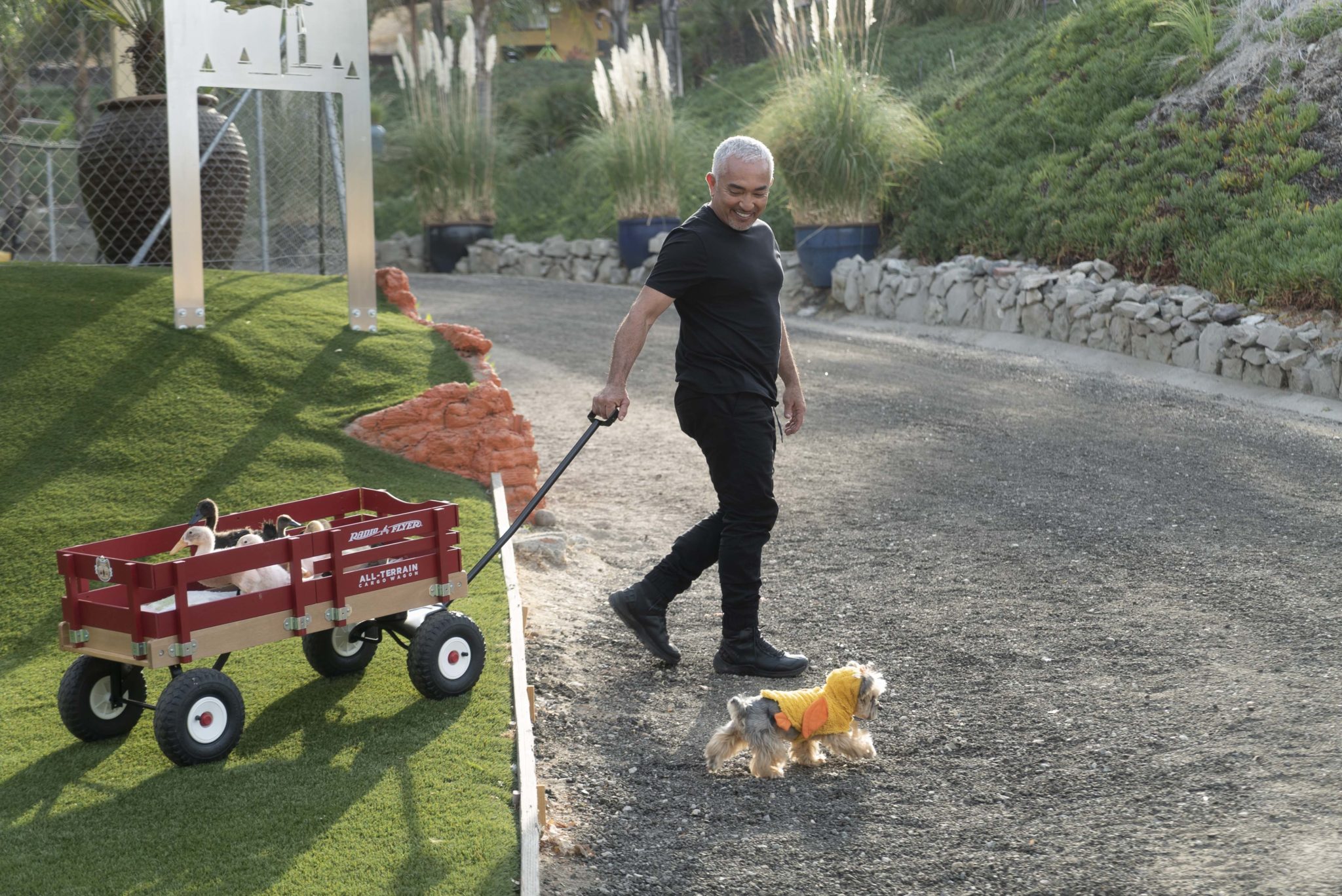 Cesar Millan Returns With Better Human Better Dog