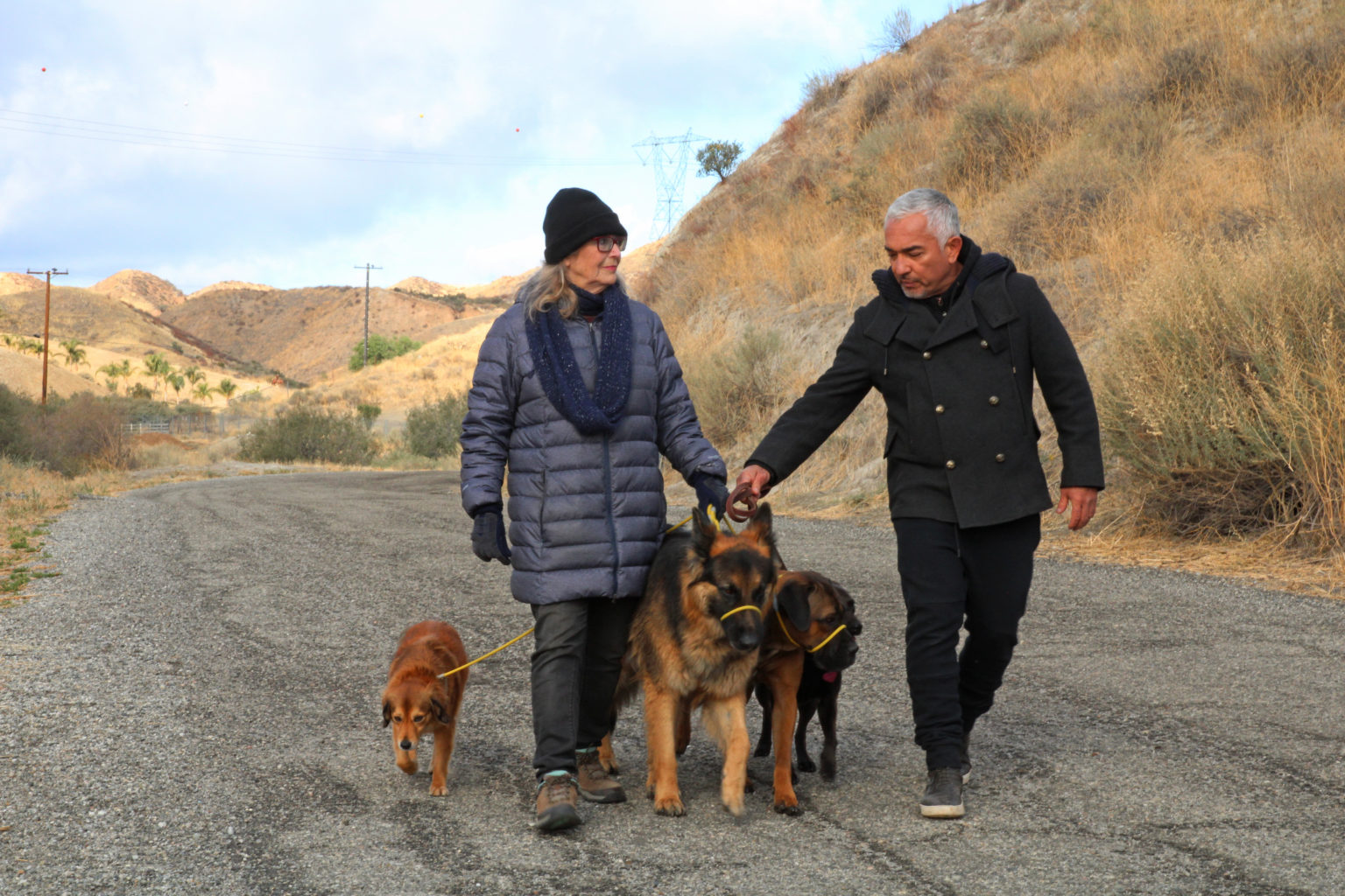 Cesar Millan Returns With Better Human Better Dog