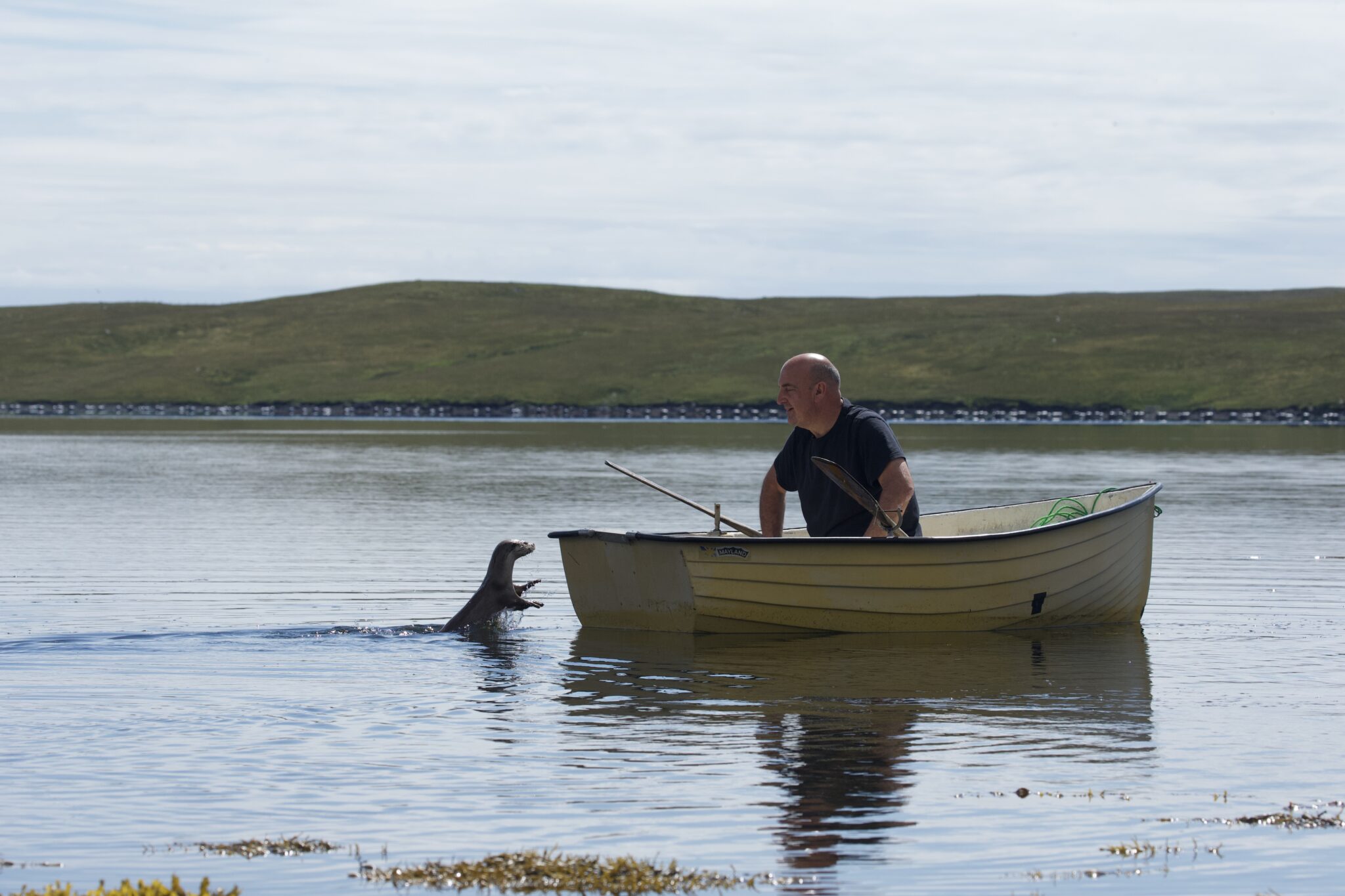 Billy & Molly: An Otter Love Story | The Making Interview